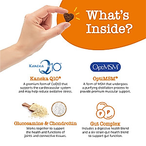 8-in-1 Multifunctional Supplements for Dogs - Glucosamine Chondroitin for Joint Support with Probiotics for Gut & Immune Health – Omega Fish Oil Antioxidants for Skin & Heart Health - 90ct, 4 Pack