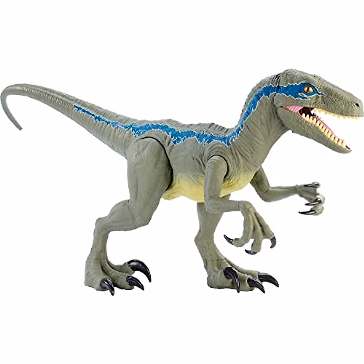 Mattel Jurassic World Super Colossal Velociraptor Blue Dinosaur Action Figure Toy, 3.5-ft Long with Eating Feature (Amazon Exclusive)