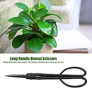 HERCHR Bonsai Scissors, Bonsai Shear Pruning Shears Japanese Bonsai Garden Tool, 205mm