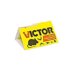 Victor M320 Professional Glue Boards for Insect and Rodent monitoring - 150 Glue Boards