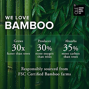 QLE Bamboo Toilet Paper 4 Pack 3 Ply 300 Sheets Bamboo RV Toilet Paper Rolls - Organic Chemical Free Toilet Paper, Hypoallergenic Toilet Paper Bamboo Soft, Compostable Septic Safe Plant Toilet Paper