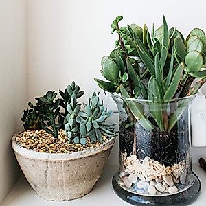 Mr. Fireglass Polished Pebbles Decorative Natural Stones Mixed Aquarium Gravel River Rocks, 3/8 inch, 5 Pounds