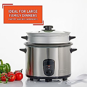 IMUSA USA GAU-00023 Electric Rice Cooker with Steam Tray 10-Cup Uncooked Rice (20-Cup Cooked Rice), Stainless Steel