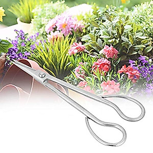 A sixx Stainless Steel Scissors,Bonsai Scissors Bonsai Shear Long Handle Scissors 185mm Japanese Bonsai Garden Tool Starter Kit Tian Bonsai Tools