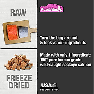 PureBites Freeze Dried Salmon Dog Treats 70g | 1 Ingredient | Made in USA (Packaging May Vary)