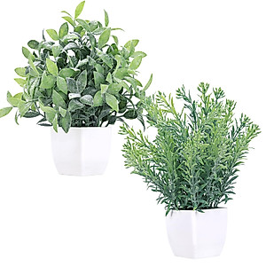 summer flower 2 Pack Fake Plants in White Pot Small Artificial Eucalyptus Potted Plants (Green-01)
