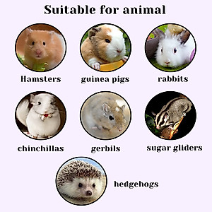 Hamster Bedding, Natural Soft Dried Flowers Bedding, Small Pet Litter Habitat Mat Edible Treat for Guinea Pigs Rabbits Gerbils Rats Squirrels Chinchillas (Dried Flowers)