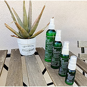 Bug Soother Spray Small Family Pack - Natural Insect, Gnat and Mosquito Repellent & Deterrent with Essential Oils - 100% DEET-Free Safe Bug Spray for Adults, Kids, Pets, & Environment - Made in USA