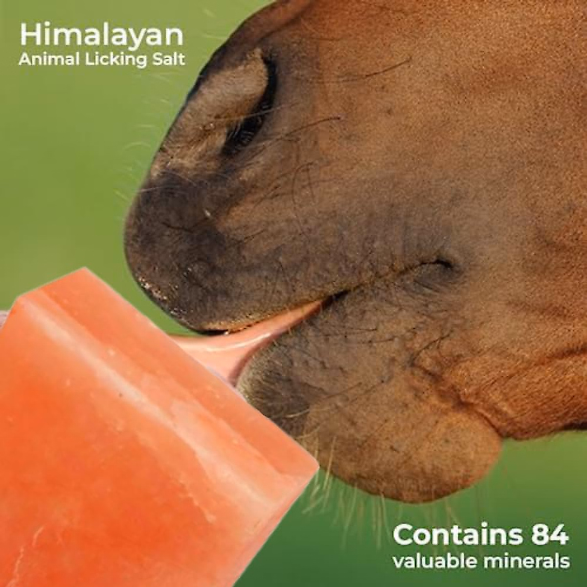 Himalayan Salt Lick Block for Horses, Deer-, Goats, Cattles & Cows | Pack of 2, Pink Salt Licks for Animals, Licking Salt Brick Packed with Minerals