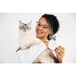 Pearhead DIY Pawprints Keepsake Kit for Dogs Or Cats, Christmas Ornament, Holiday Home Décor for Pet Lovers, Clay Paw Print Imprint, White