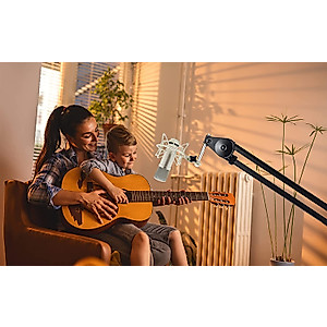 Grneric Metal Microphone Shockmount & Stand for Neumann TLM 103/M147 - Silver