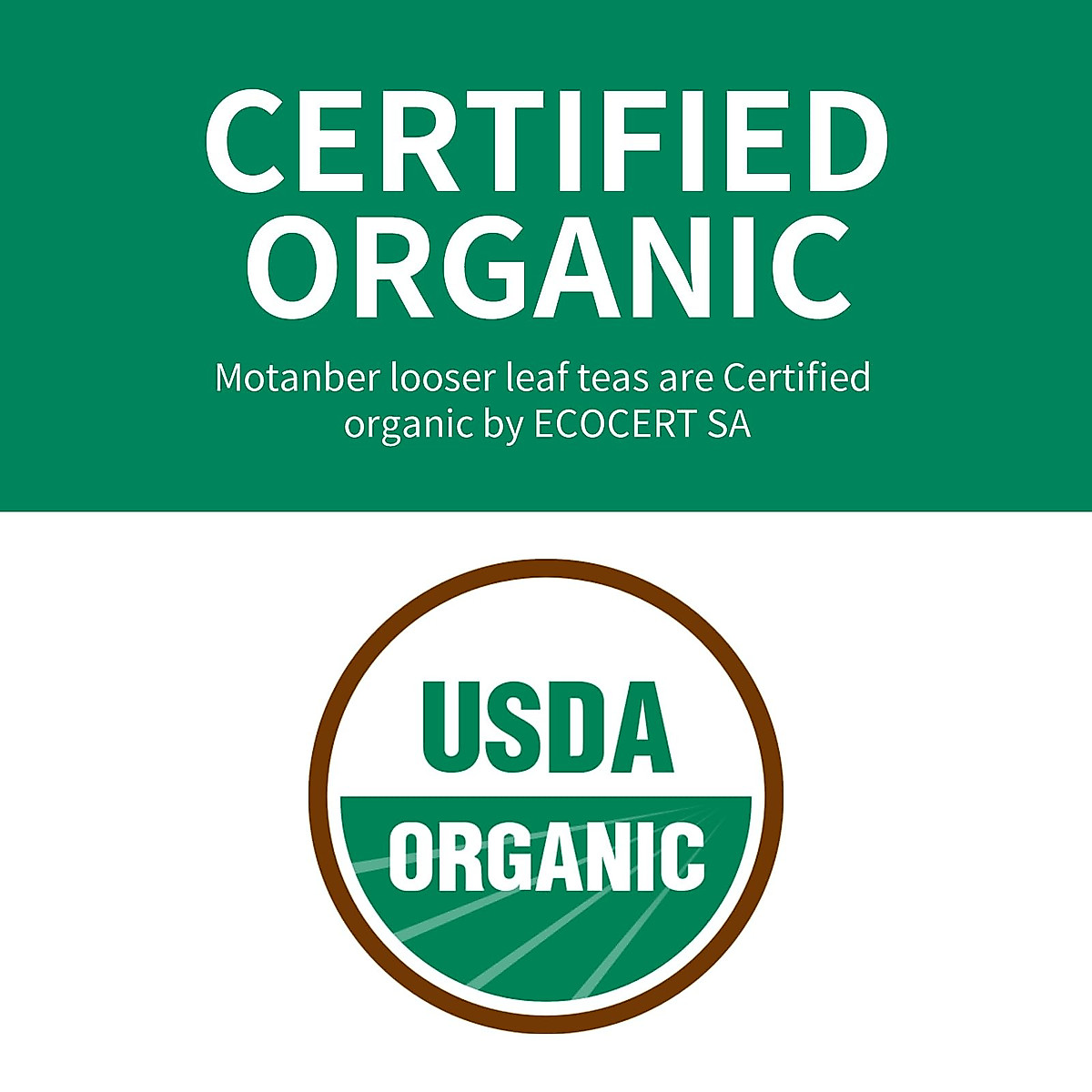 Motanber Jasmine Cup Tea - Paper Cup Instant Tea, Jasmine Green Tea Flavor, Camping cup tea,portable tea,food grade paper cup with tea,1 cup with 2g tea(10 Cups) (Jasmine)