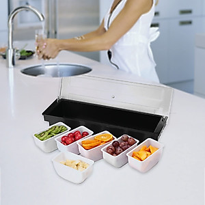 Bar Top Food Condiment Dispenser Container with Lid, Plastic Garnish Tray Station for Fruit, Veggie, Salad - Ice Cooled Topping Kitchen Organizer for Bar Home Restaurant Supplies & Serving (6 Tray)