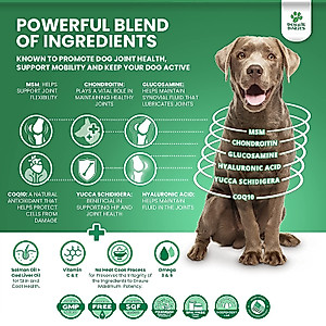 Doggie Dailies Bundle - 5-in-1 Multivitamin & Hip and Joint Soft Chews