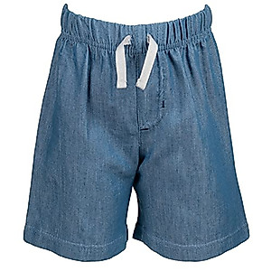 Sesame Street Oscar the Grouch Cookie Monster Elmo Infant Baby Boys Polo Shirt and Shorts Gray/Blue 24 Months