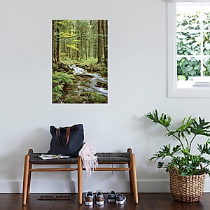 AllPosters Wall Poster Forest Creek, 24x36