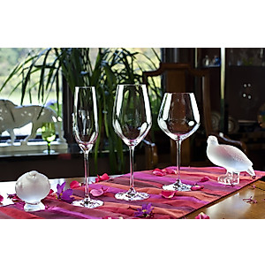 Schott Zwiesel Stemware Fortissimo Collection Tritan Crystal Burgundy, Red Wine Glass, 24.6-Ounce, Set of 6