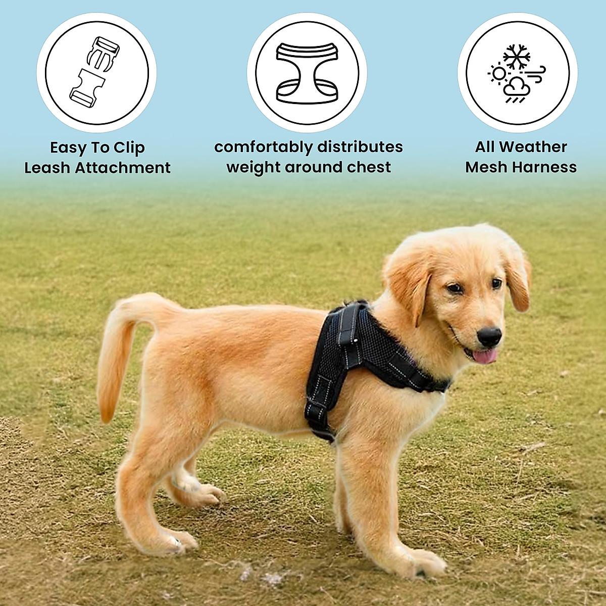 Copatchy No Pull Reflective Adjustable Dog Harness with Handle- Comfortable Soft All Weather Mesh, Easy On Puppy Harness for Small Medium and Large Dogs (Black) Small