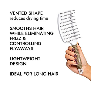 Ion Blowout Vent Brush