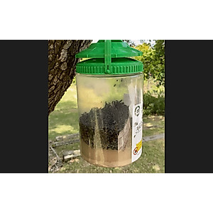 Shield Fly-in Reusable Fly Trap - Includes All Natural Bait for Fly Traps