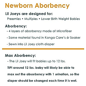 Kanga Care Lil Joey Cloth Diaper (2pk) Clyde