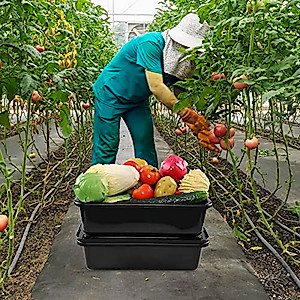 Parlynies 13 L Commercial Bus Tubs with Lid, 3-Pack Plastic Bus Box, Black