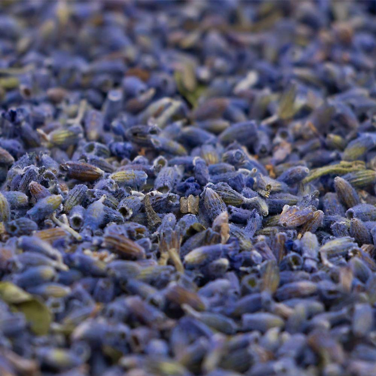 Hslife 250g 5A Level Dried Lavender Flower Buds Organic Lavender Flowers，Natural Fragrance Dried Lavender Flower for Tea, Soap Making, Baking, Baths