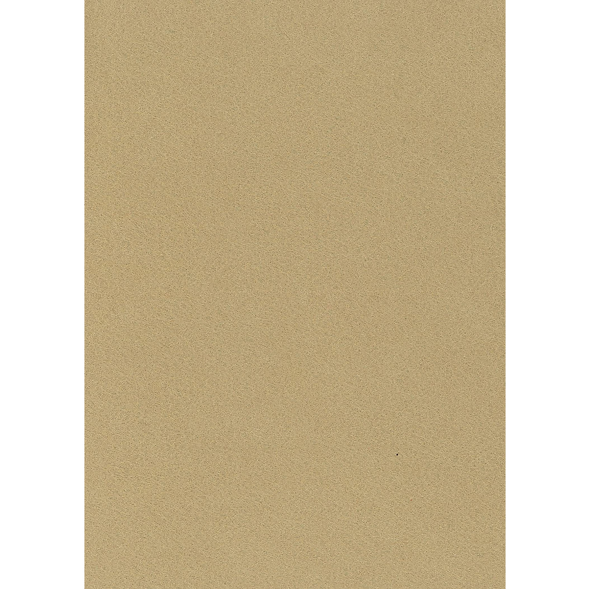 Champagne Off White - Wool Felt Oversized Sheet - 35% Wool Blend - 1 12x18 inch Sheet
