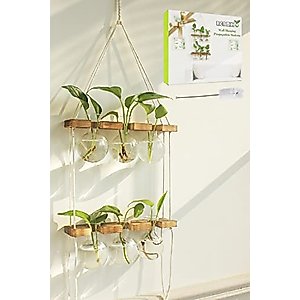 RENMXJ Wall Hanging Plant Propagation Station - 6 Bulb Vase 2 Tiered Wooden Stand Plant Terrarium kit,Home Office Bathroom Kitchen Decor,Wall Planters for Indoor Plants,Gardening Gifts for Women