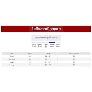 Rubie's womens Wizard of Oz Adult Dorothy Dress and Hair Bows Costume, Blue/White, Teen US