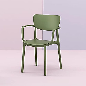 Siesta Lisa Outdoor Set of 2 Dining Arm Chair Olive Green ISP126-OLG