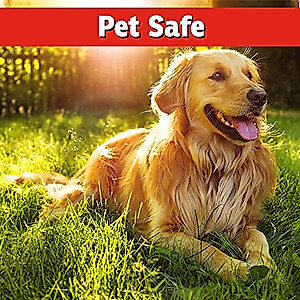 I Must Garden Armadillo Repellent - 32oz Hose End Concentrate