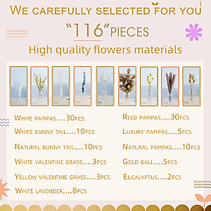 Natural Pampas Grass Mix Bouquet | Dried Pampas Bouquet for Wedding Boho Flowers Home Table Decor Desk Decor, Rustic Farmhouse (116 PCs Mix Bouquet)