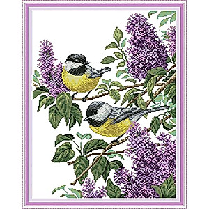 Joy Sunday Cross Stitch Kits Stamped Full Range of Embroidery Starter Kits for Beginners DIY 14CT 2 Strands - Two Birds 3(Printed) 14.6×18.1 inch