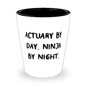 Funny Actuary Shot Glass, Actuary by Day. Ninja by Night, For Coworkers, Present From Colleagues, Ceramic Cup For Actuary