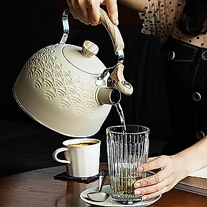 2.5L Stainless Steel Tea Kettle Teapot with Foldable Anti-Heat Handle,for Gas Hobs, Induction and Electric Hobs▂19 * 23cm/7.48"*9.06"