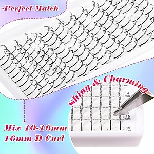 Dansib Glitter Lash Extensions D Curl 11-16mm Colored Single Lash with Eyelash Applicator, Spike DIY Individual Eyelashes with Eyelash Extension Tweezers Set for Daily Party Wedding（Silver）