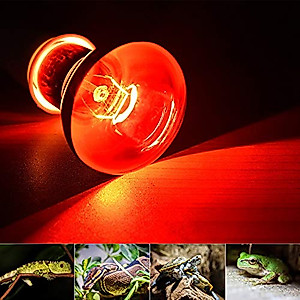 MD Lighting Pet Supplies 100w Infrared Heating Lamp 2 Pack, 110v E27 Basking Spot Light Bulbs for Reptile and Amphibian, as Bearded Dragons, Turtles, Ball Pythons, Red