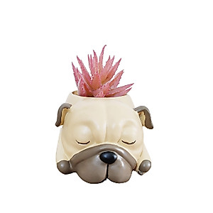 Succulent Pots,Cute Animal Pug Dog Shaped Air Plant Holder Flower Planters-Plants Not in Included