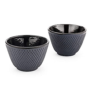 Bredemeijer Cast Iron Teacups Ceramic Lined Set of 2 Blue XILIN