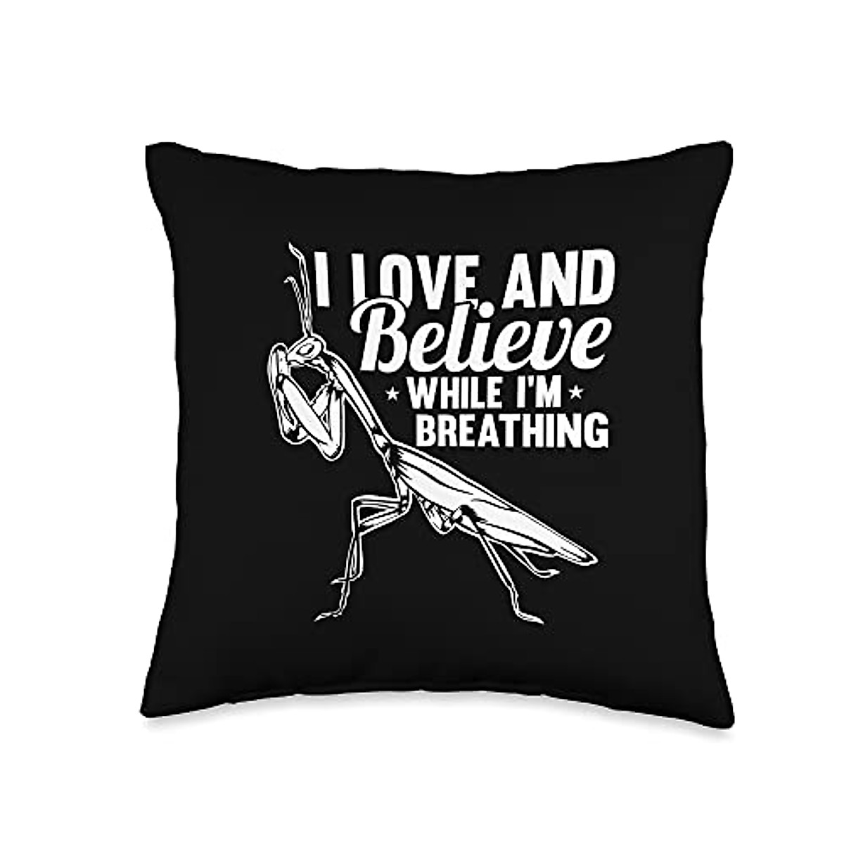 Praying Mantis Gifts & Accessories I Love and Believe While I'm Breathing-Praying Mantis Throw Pillow, 16x16, Multicolor