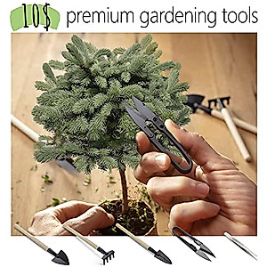 Bonsai Starter Kit – 1x Bonsai Tree | Complete Indoor Starter Kit for Growing Plants with Bonsai Seeds, Tools & Planters – Gardening Gifts for Women & Men