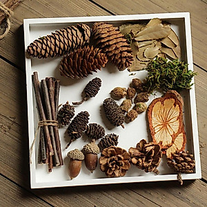 chiwanji 40 Pcs Mini Pine Cones Acorns Dried Flowers Christmas Accents Decor Ornaments