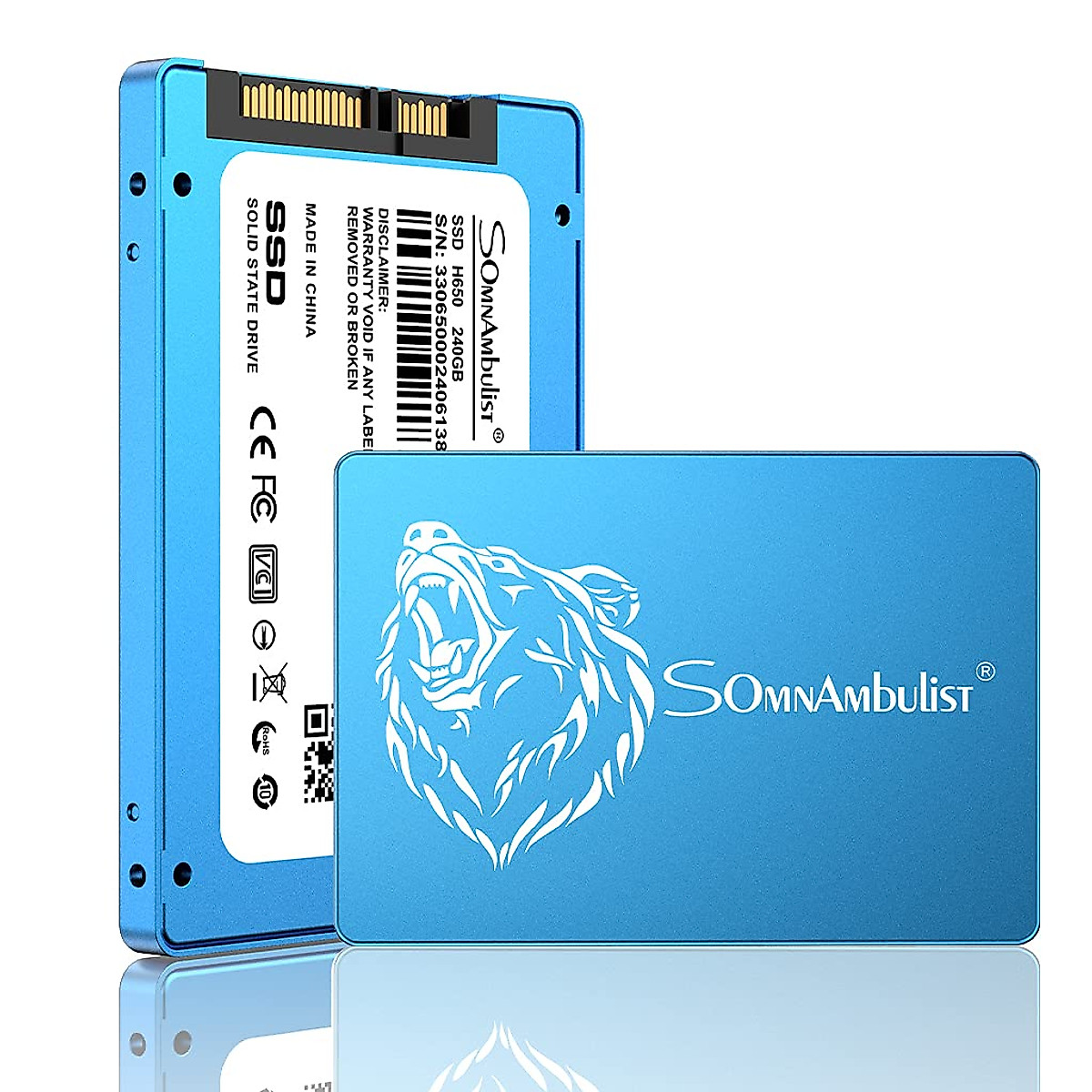 Somnambulist Laptop/Desktop SSD 2.5" SATA3 120gb 240gb 60gb SSD Solid State (Blue Bear-120GB)