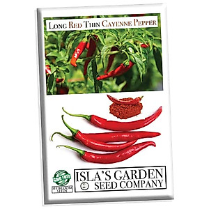 Long Red Thin Cayenne Pepper Seeds for Planting, 100+ Heirloom Seeds Per Packet, (Isla's Garden Seeds), Non GMO Seeds, Botanical Name: Capsicum annuum, Great Home Garden Gift
