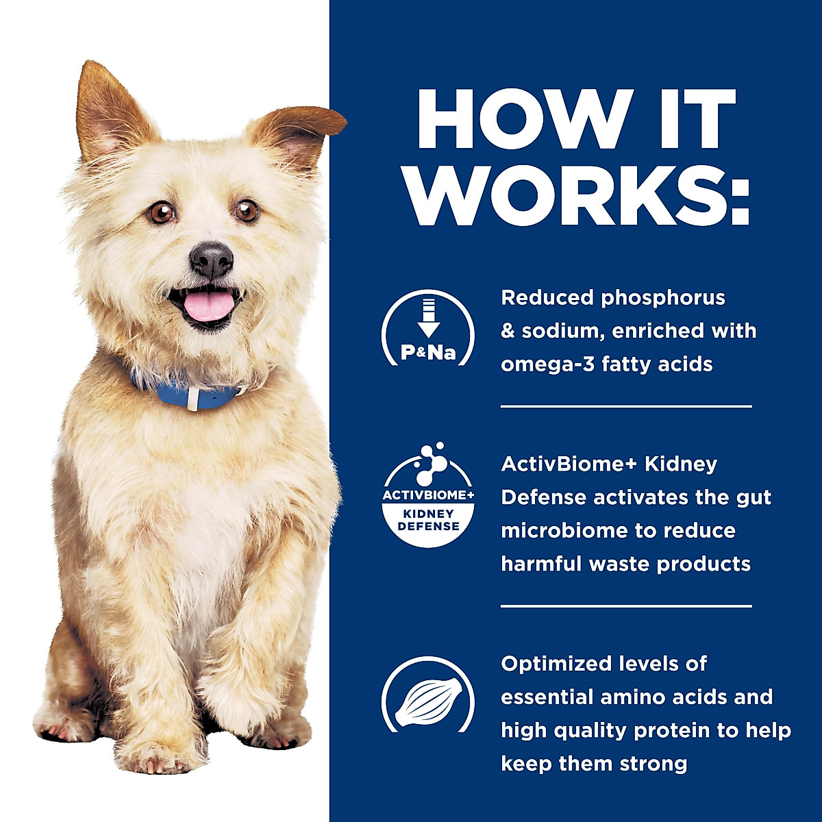 Hill's Prescription Diet k/d Kidney Care with Chicken Wet Dog Food, Renal Food, Veterinary Diet, 13 Oz Cans, (Pack of 12)