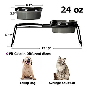Y YHY Raised Dog Cat Bowls, Elevated Dog Cat Bowls 24oz, Ceramic Dog Cat Bowls for Food and Water, Pet Bowls for Cats and Small Dogs, Prevent Neck Pain, Anti Slip Feet, Grey