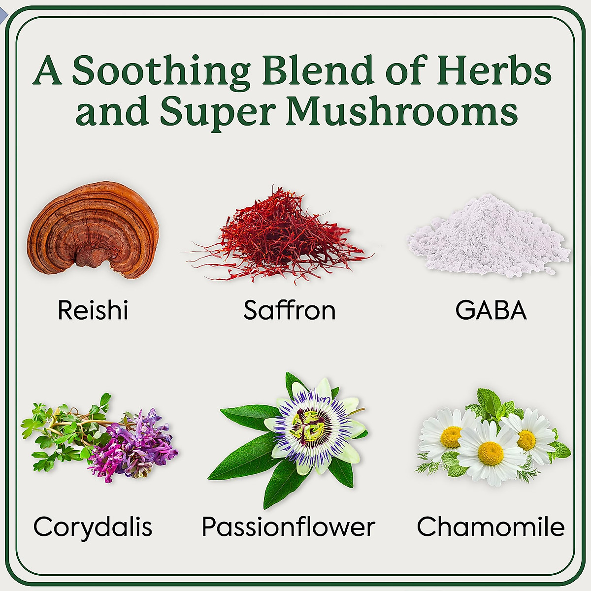 Plant People WonderSleep Mushroom Gummies Supplement for Sleep and Relaxation with Reishi Super Mushrooms, Wild Elderberry Flavor, No Sugar (60 Count)