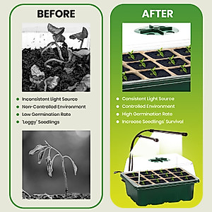 LightlyBloom LED Grow Lights Seed Starter Kit - Complete Indoor Seed Germination Kit | Dual Head Grow Lights, Degradable Seed Starting Trays, Humidity Bio Dome Container, Charcoal Peat Pellets & Tools