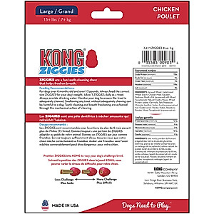 KONG - Classic and Ziggies - Dog Chew Toy with Dog Treats - for Medium Dogs